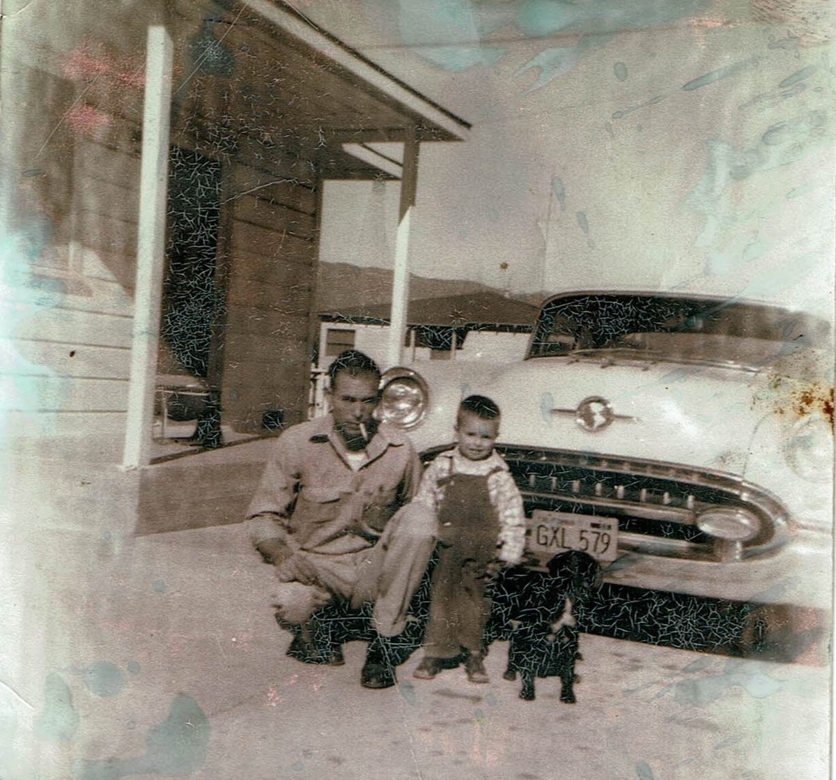 ROBERT WOLFE COLLECTION